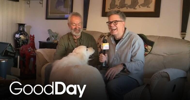 Cody Chats with the Self-Appointed Lord Mayor of Sharwood! | Cody’s ...
