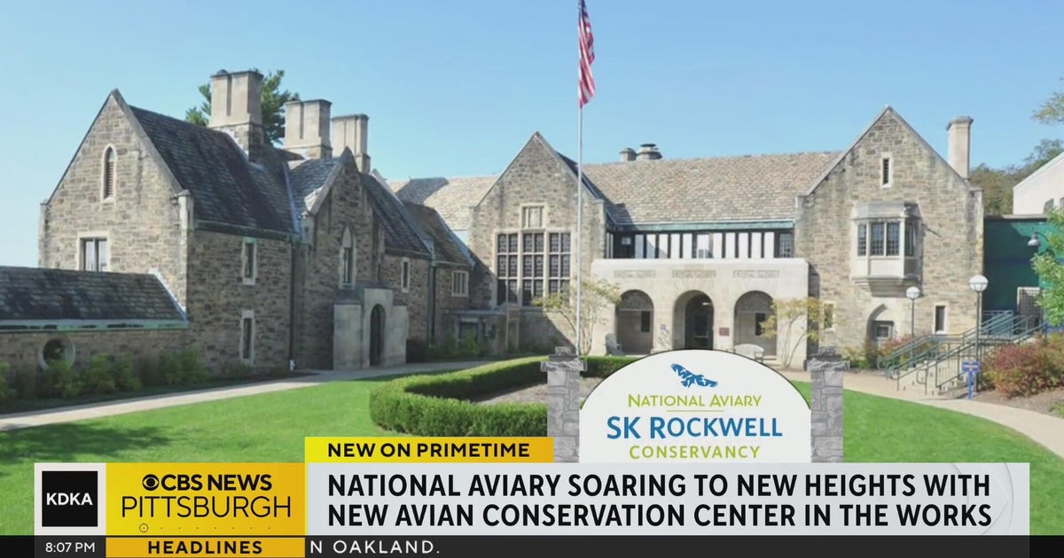 National Aviary getting new avian conservation center - CBS Pittsburgh