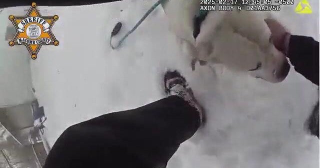 Michigan deputy saves dog chained outside of house that caught fire ...