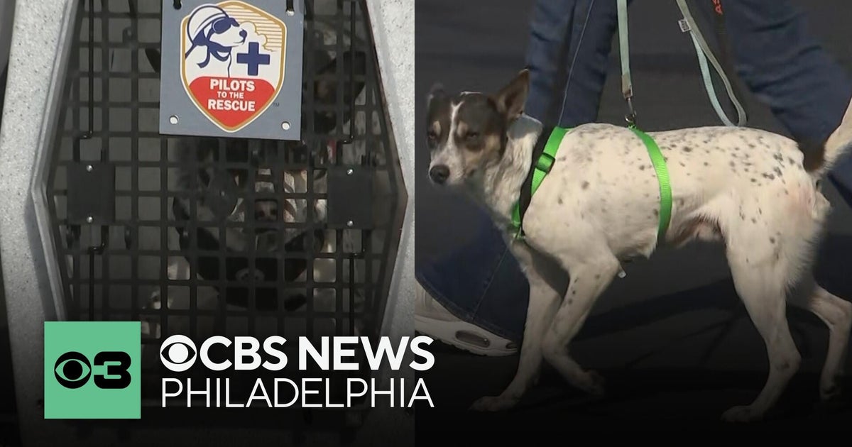 Pilots to the rescue arrive at Northeast Philadelphia Airport with ...