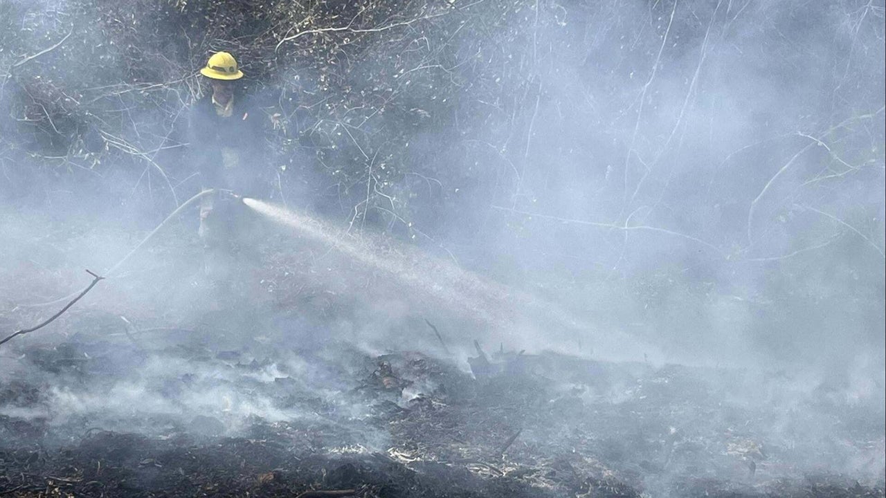 South Carolina news - Today’s latest updates - CBS News
