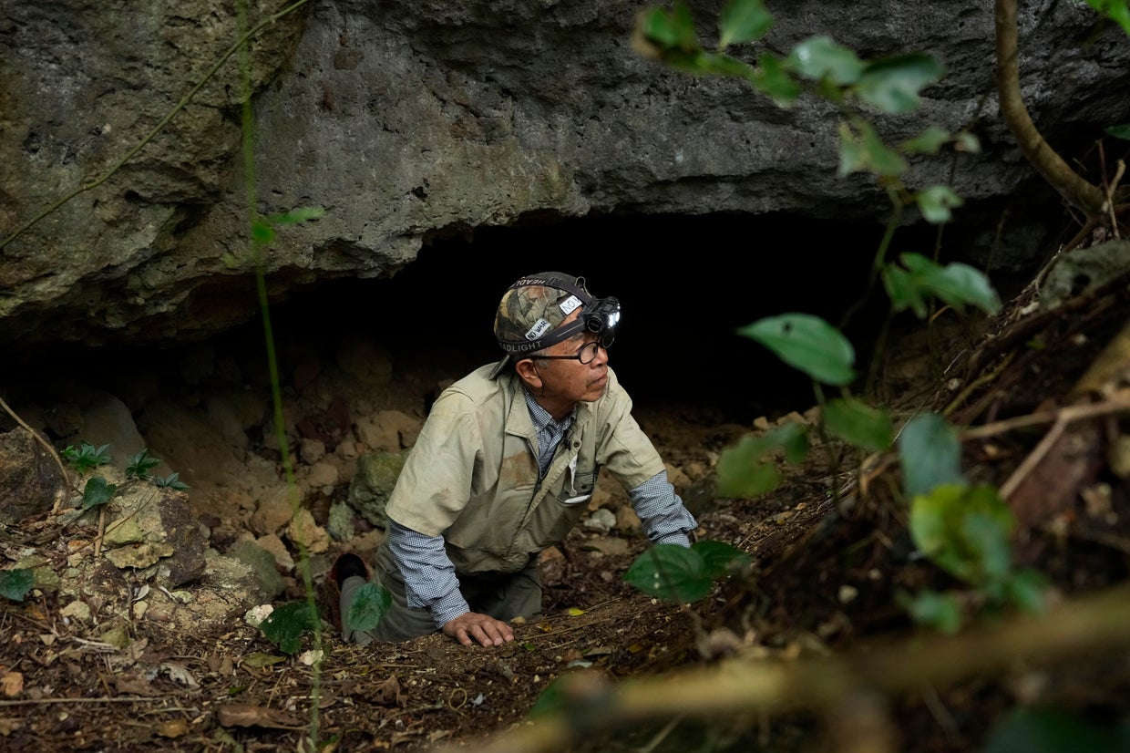 Volunteer searching for WWII dead in Japanese caves unearths remains of ...