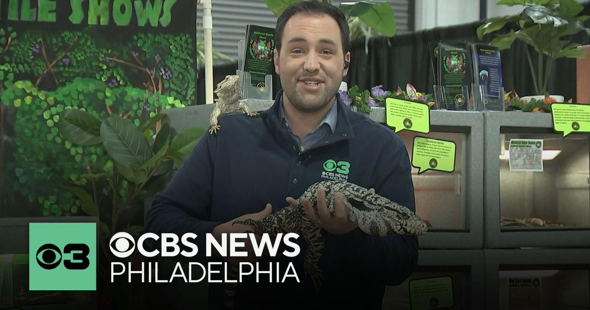 News reporter makes friends with reptiles at Greater Philadelphia Pet ...