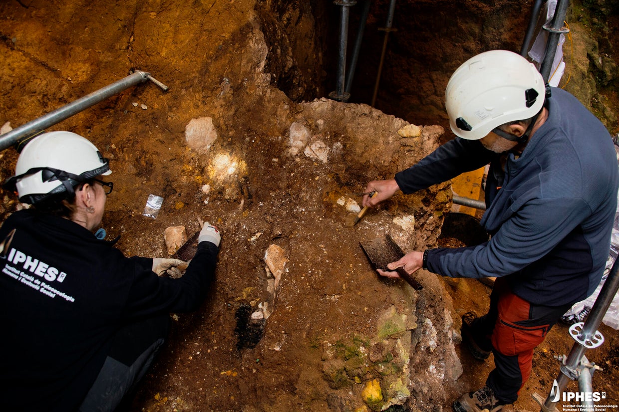 Earliest human face fossil from Western Europe, nicknamed "Pink ...