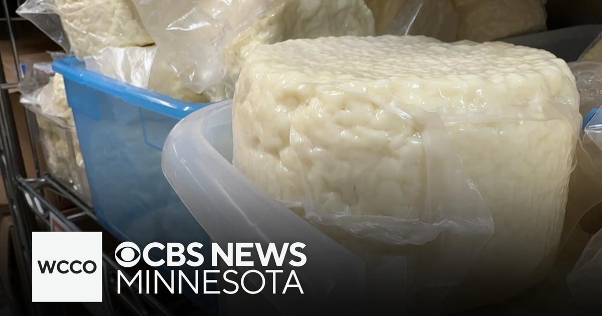 Ever wanted to learn to make cheese? This college has a course for that ...