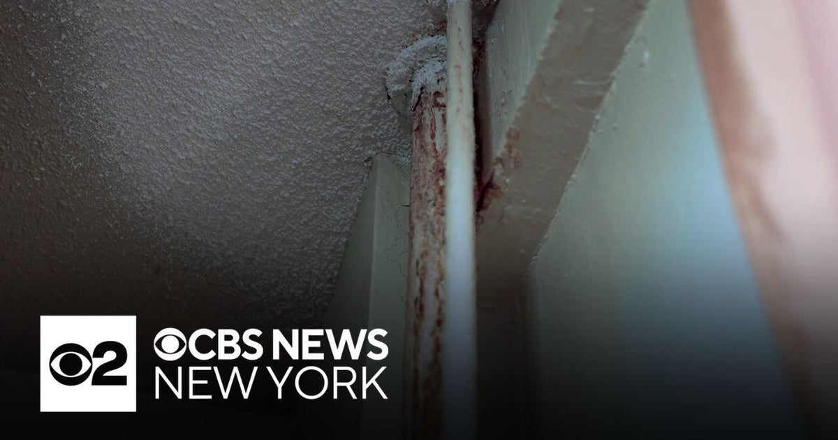 Resource may offer faster fix for NYCHA residents with mold, leaks ...