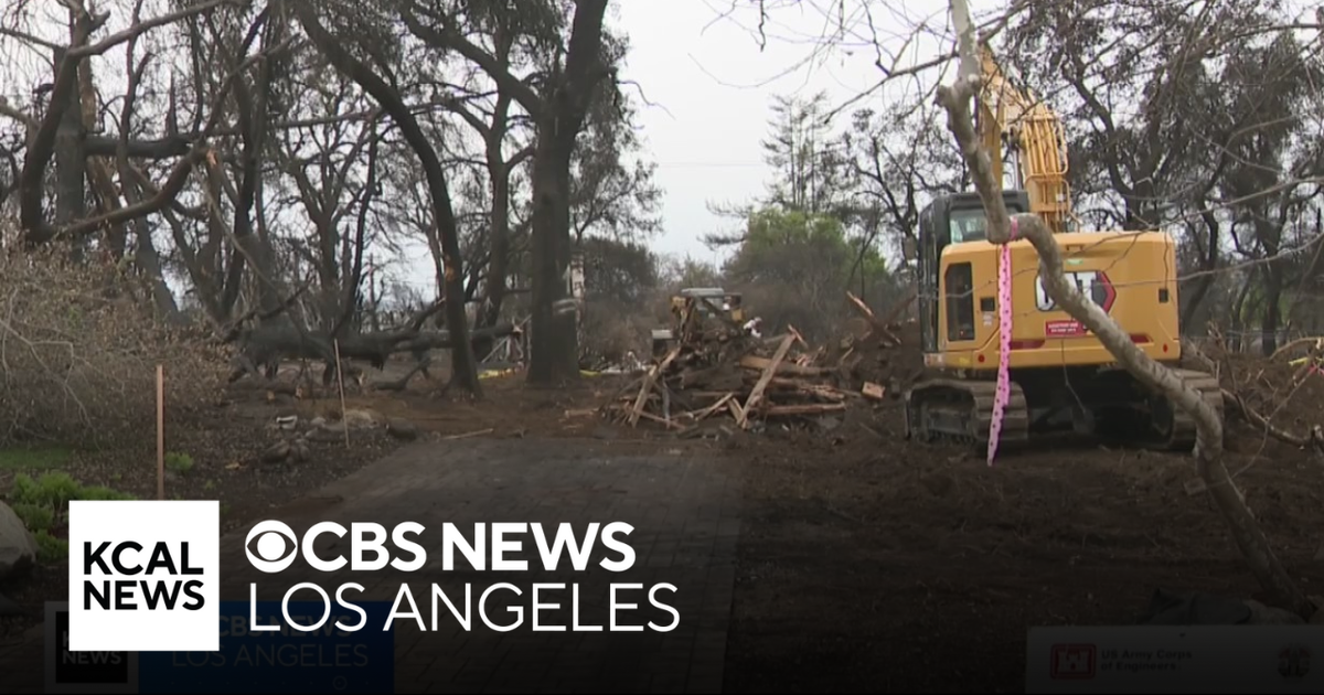 Some Altadena homeowners taking debris cleanup into own hands after ...