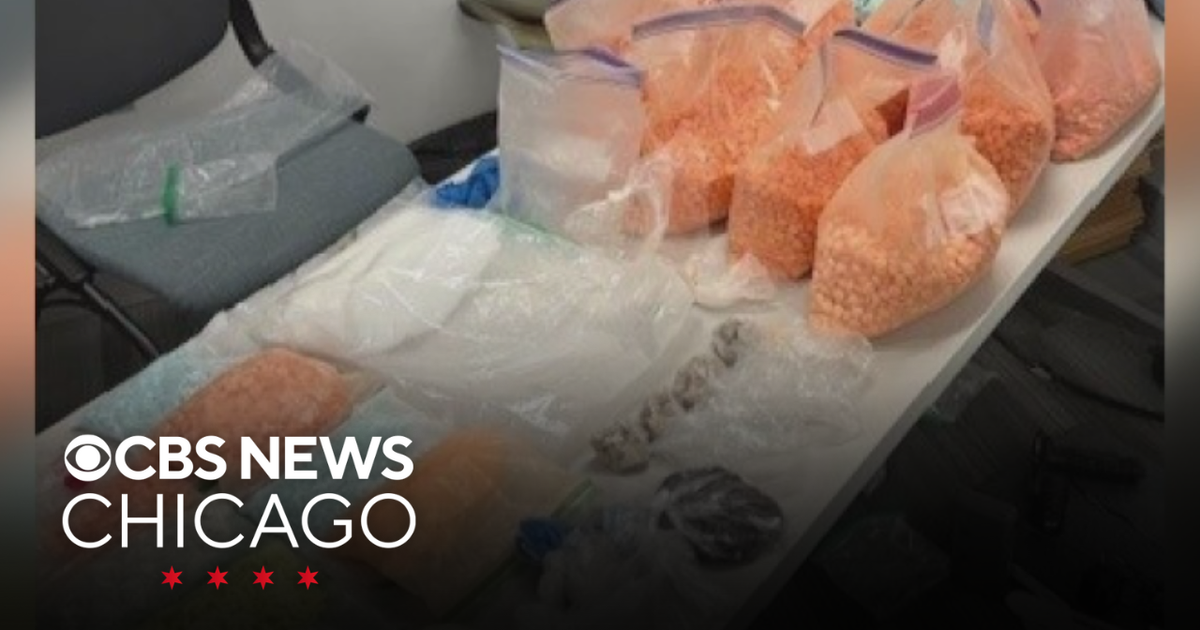 Copious quantities of drugs seized in Lockport, Illinois - CBS Chicago