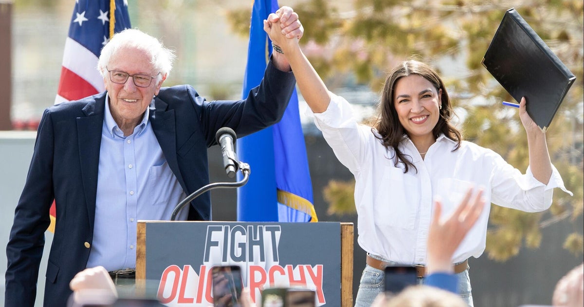 Democratic strategists on how the party should rebuild after 2024 ...