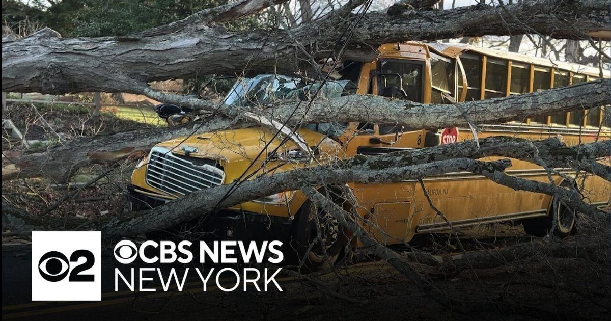 Tree falls onto school bus carrying New Jersey students - CBS New York