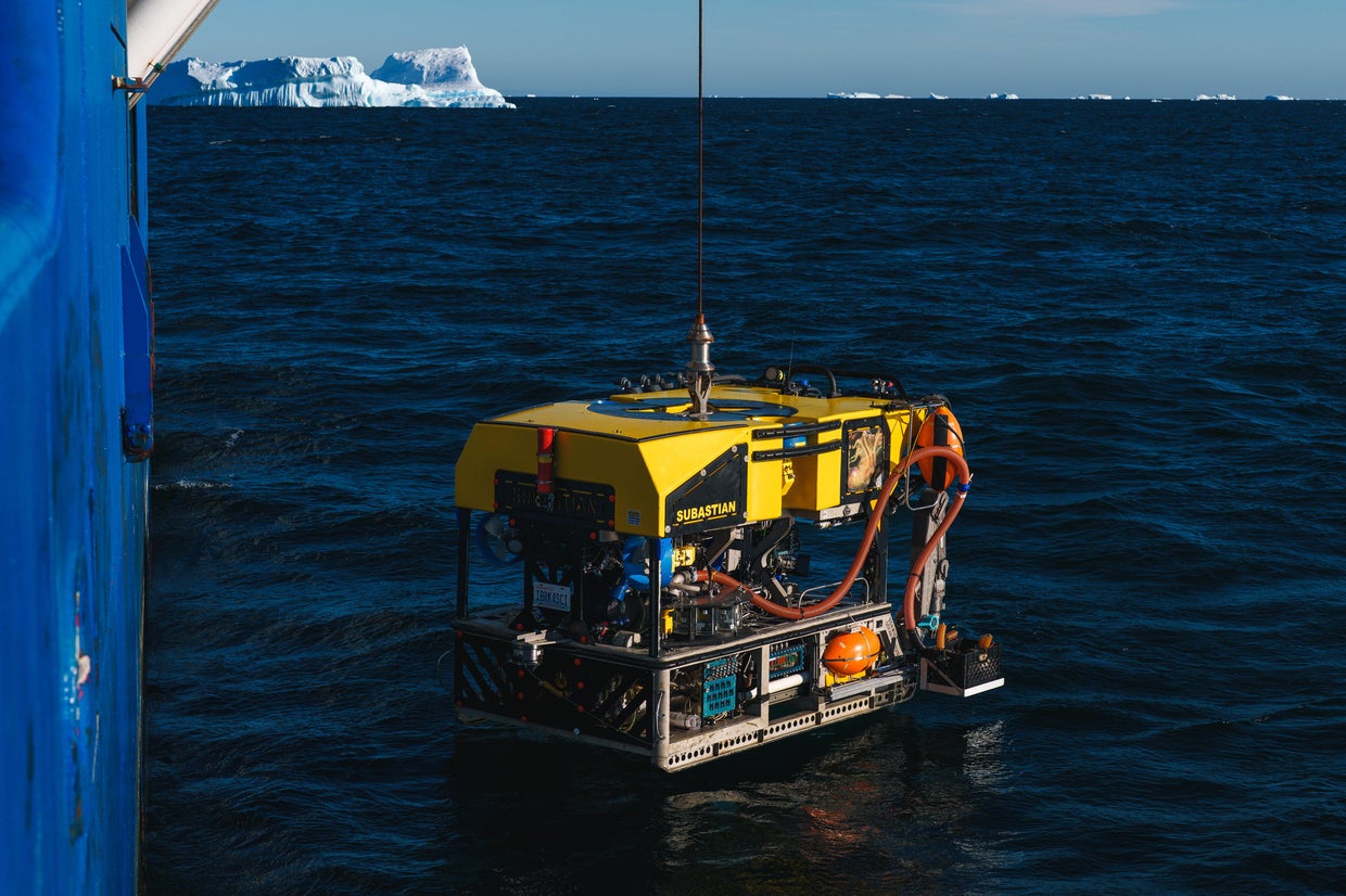 Researchers find thriving, never-before-seen ecosystem under Antarctic ...