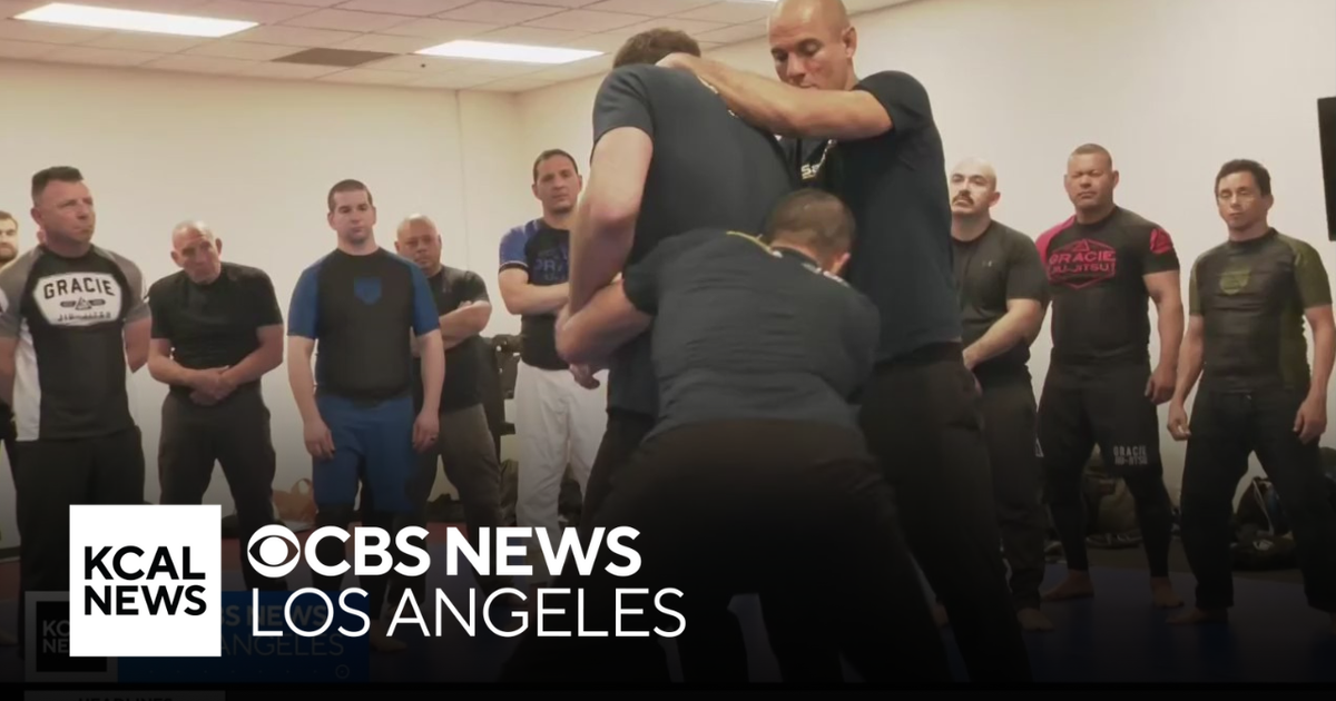 LAPD adopts "SafeWrap System" to help safely deescalate violent ...