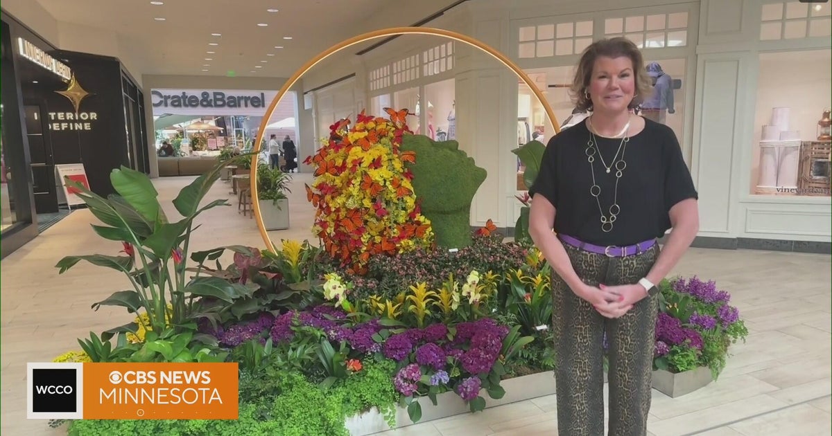 Preview the beautiful flower displays now at the Galleria Floral ...