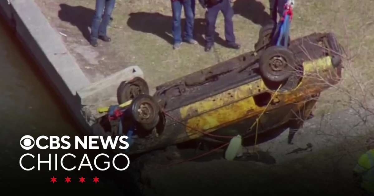 Remains pulled from car in Fox River identified as those of Karen ...