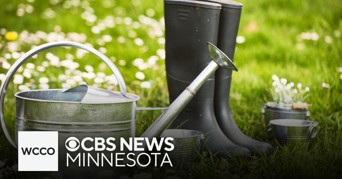 Tips for getting your garden ready for spring planting - CBS Minnesota