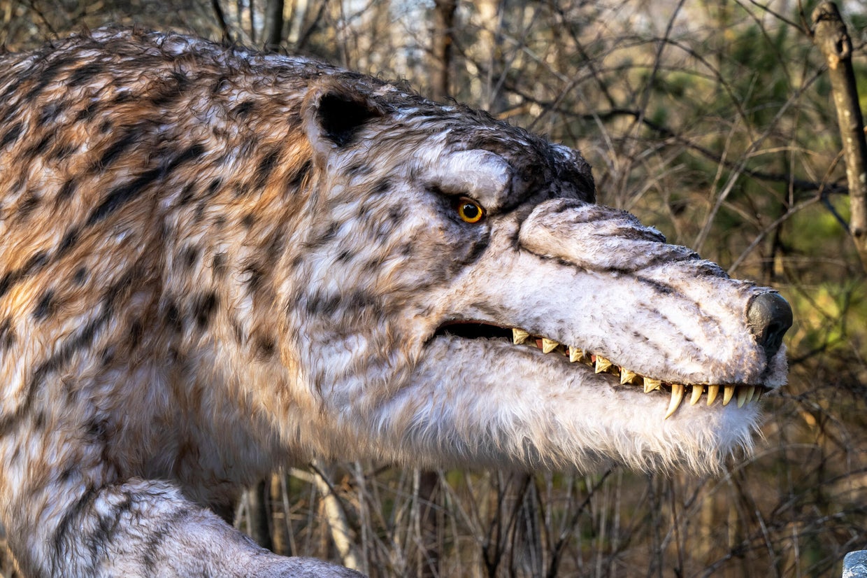 Pittsburgh Zoo and Aquarium to debut new Ice Age exhibit - CBS Pittsburgh