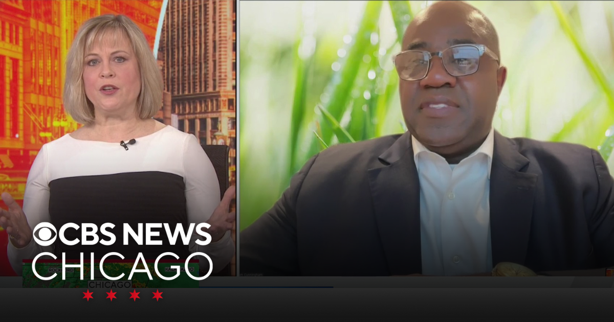 Waukegan elects new mayor - CBS Chicago