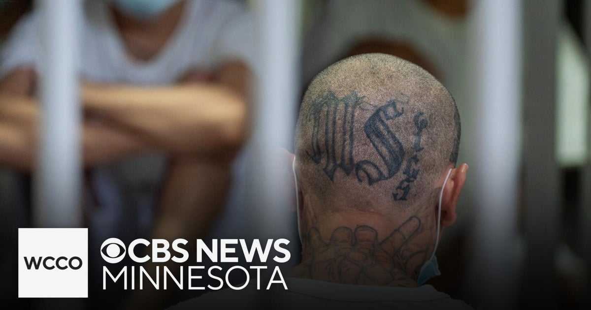 Alleged MS-13 gang member arrested in Minnesota facing murder charge ...