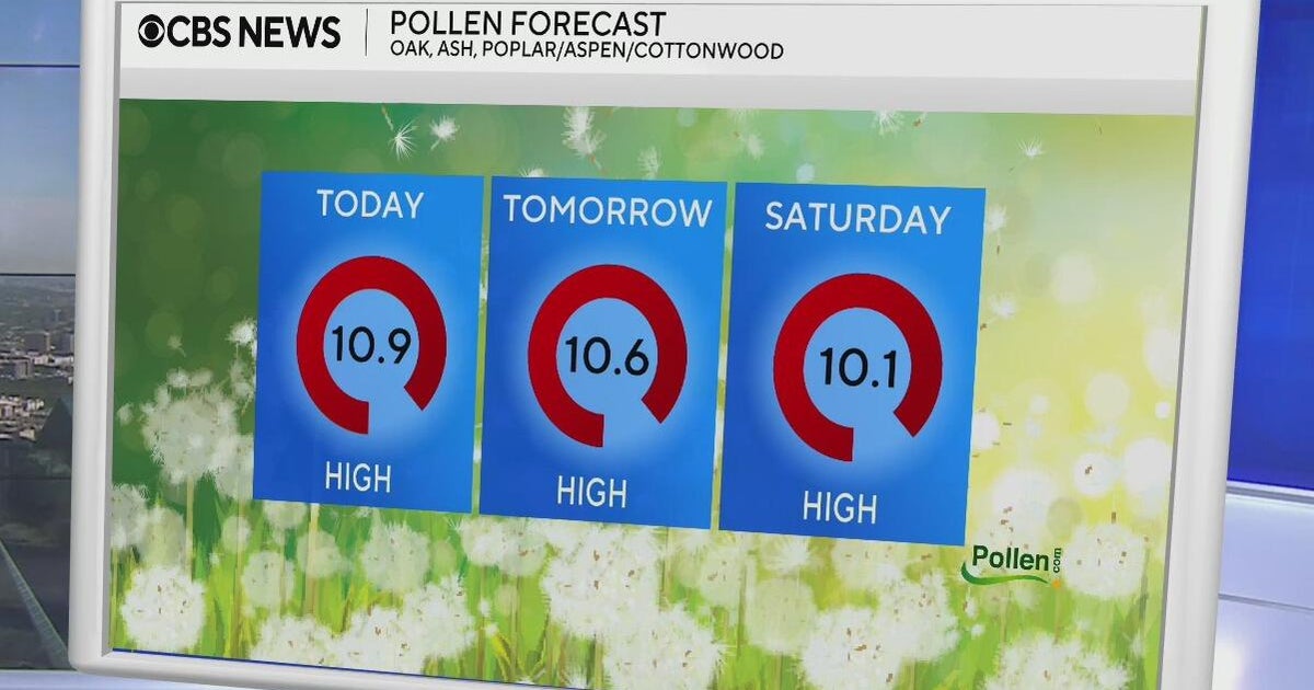 Despite nice temperatures, pollen remains high in North Texas - CBS Texas