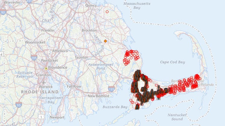 Cicadas are coming to Massachusetts soon. Here's what to know about ...