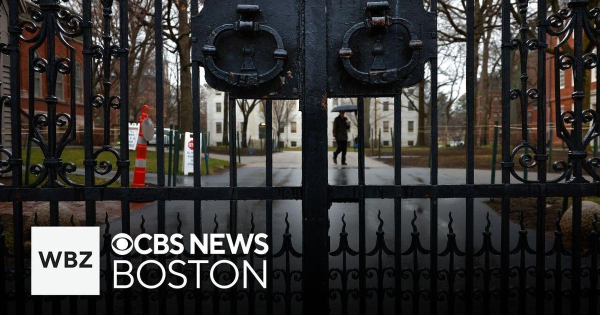More Harvard student visas revoked and other top stories - CBS Boston