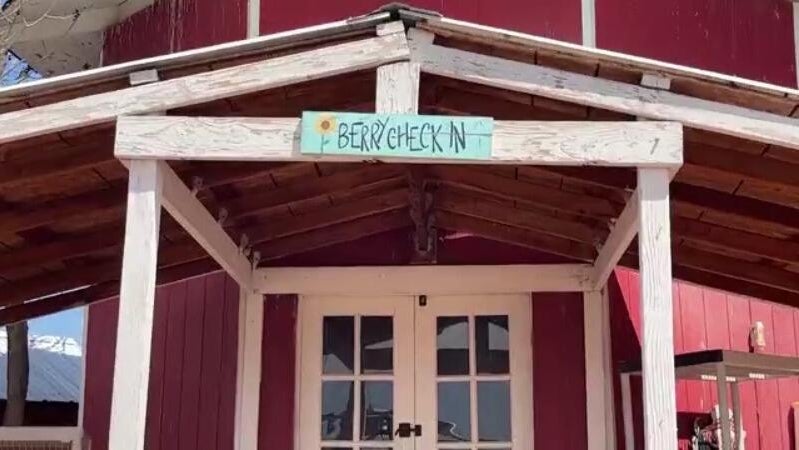 Small farmers in Colorado impacted by federal budget cuts seek ...