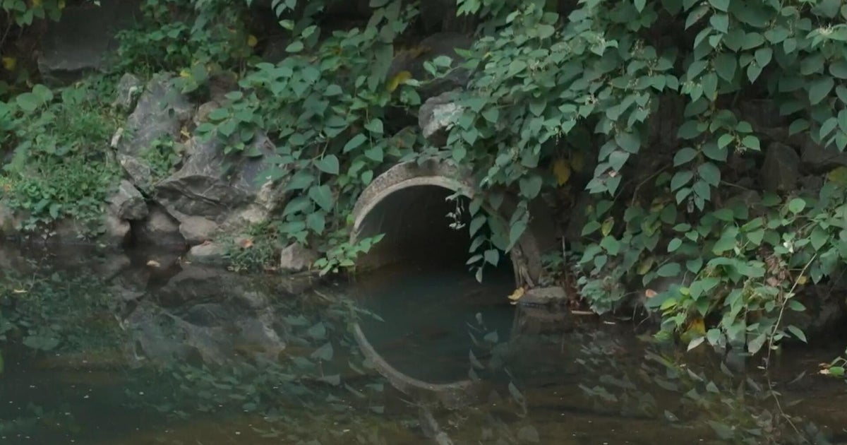 American streams and rivers being choked by sewage, especially in poor ...