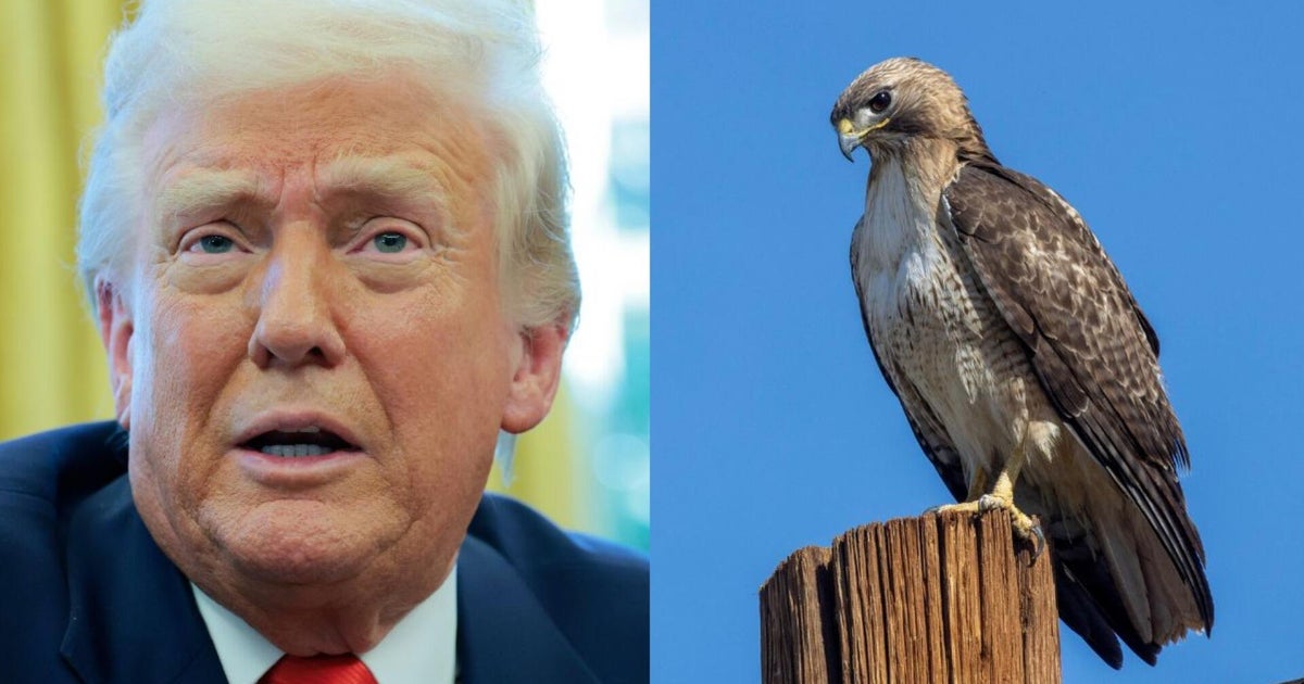 Trump trying to overhaul Endangered Species Act to ease building ...