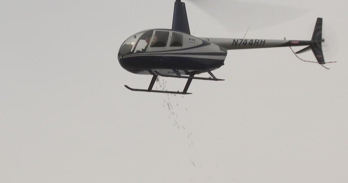 Oakland County Parks hosts The Great Marshmallow Drop - CBS Detroit