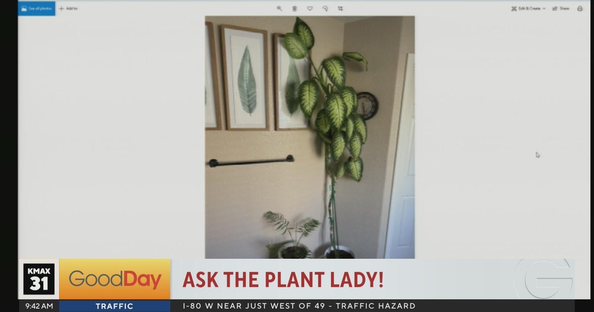 The Plant Lady, 9am Pt. 2 - 4/20 - Good Day Sacramento