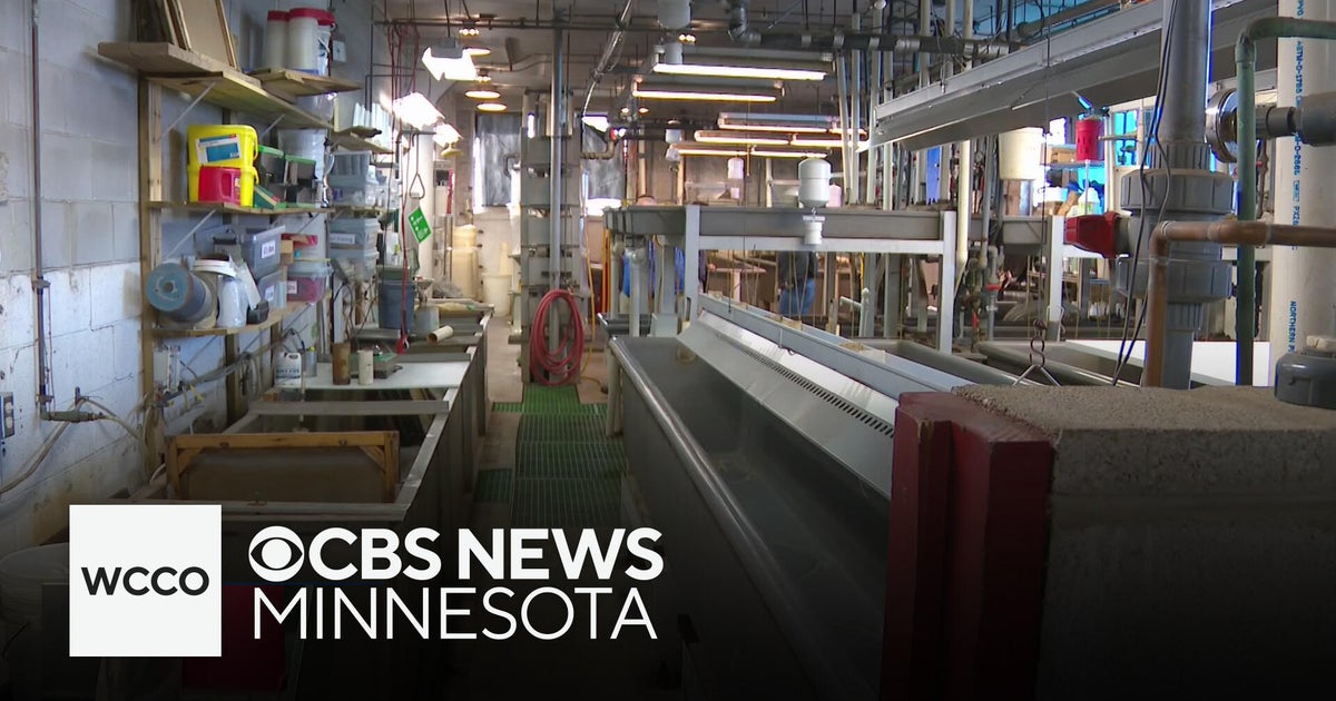After nearly 150 years, St. Paul State Fish Hatchery seeks upgrades ...