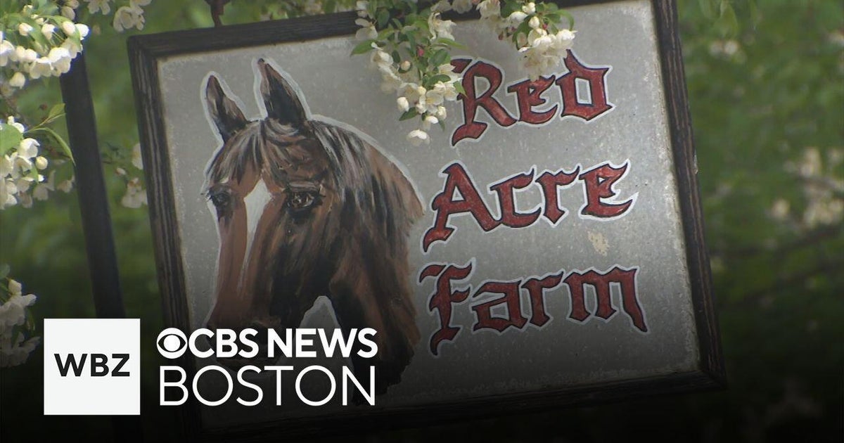 Massachusetts woman raised Flying Mohawk, horse competing in the ...