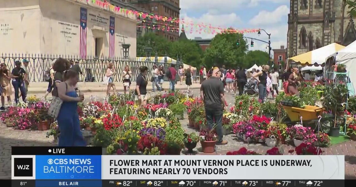 Flower Mart brings nearly 70 vendors to Mount Vernon Place May 2 - CBS ...