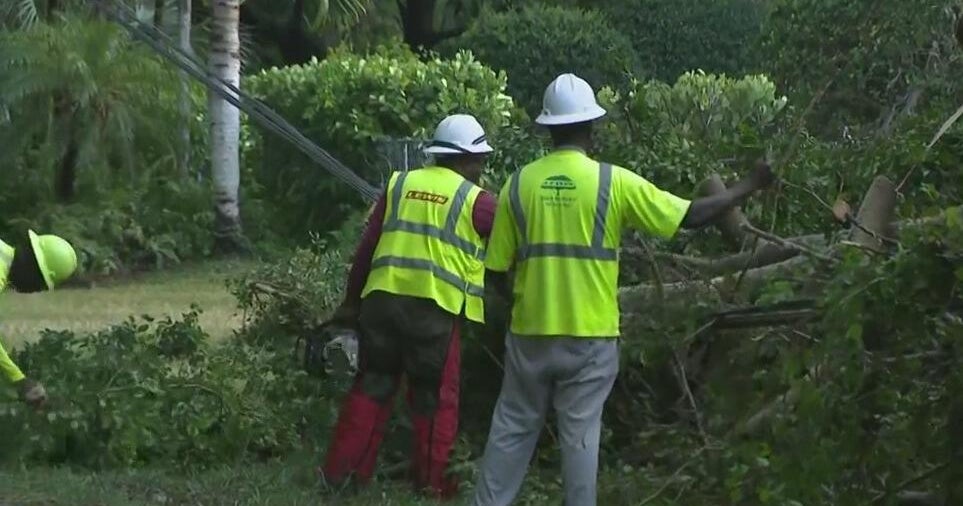 NEXT Weather Alert: Storm damage cleanup underway as storms continue ...