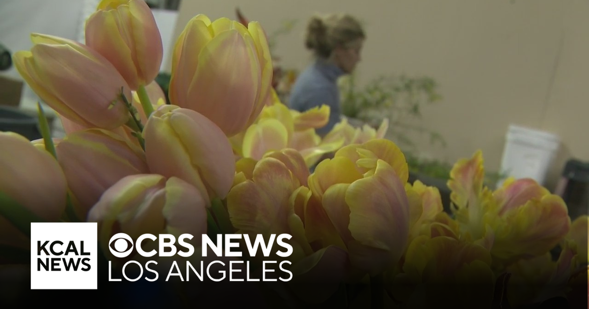 Los Angeles rallies behind flower shop that lost everything in Eaton ...