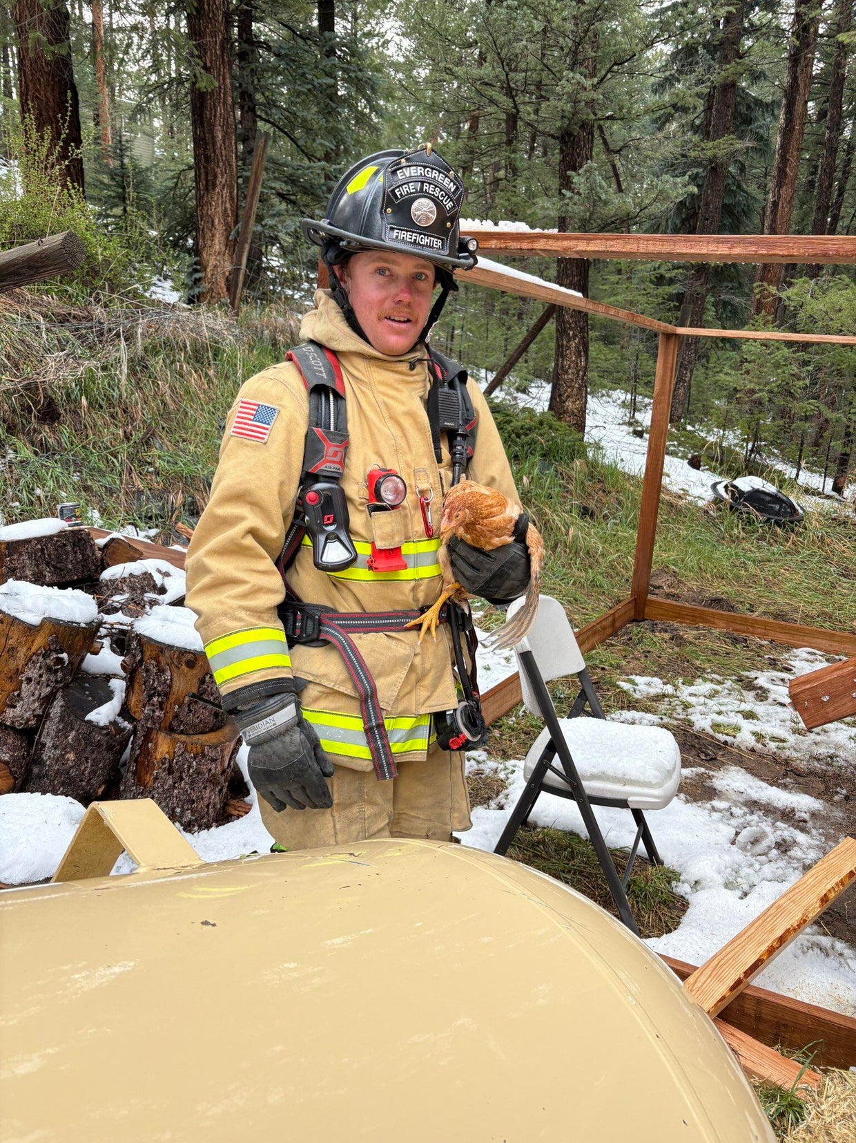 Chickens rescued in Colorado after propane tank destroys chicken coop ...
