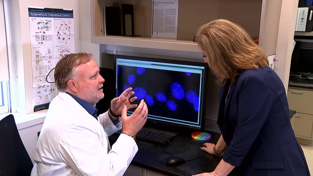 Lung Force Walk is personal for Fox Chase Cancer Center researcher and ...