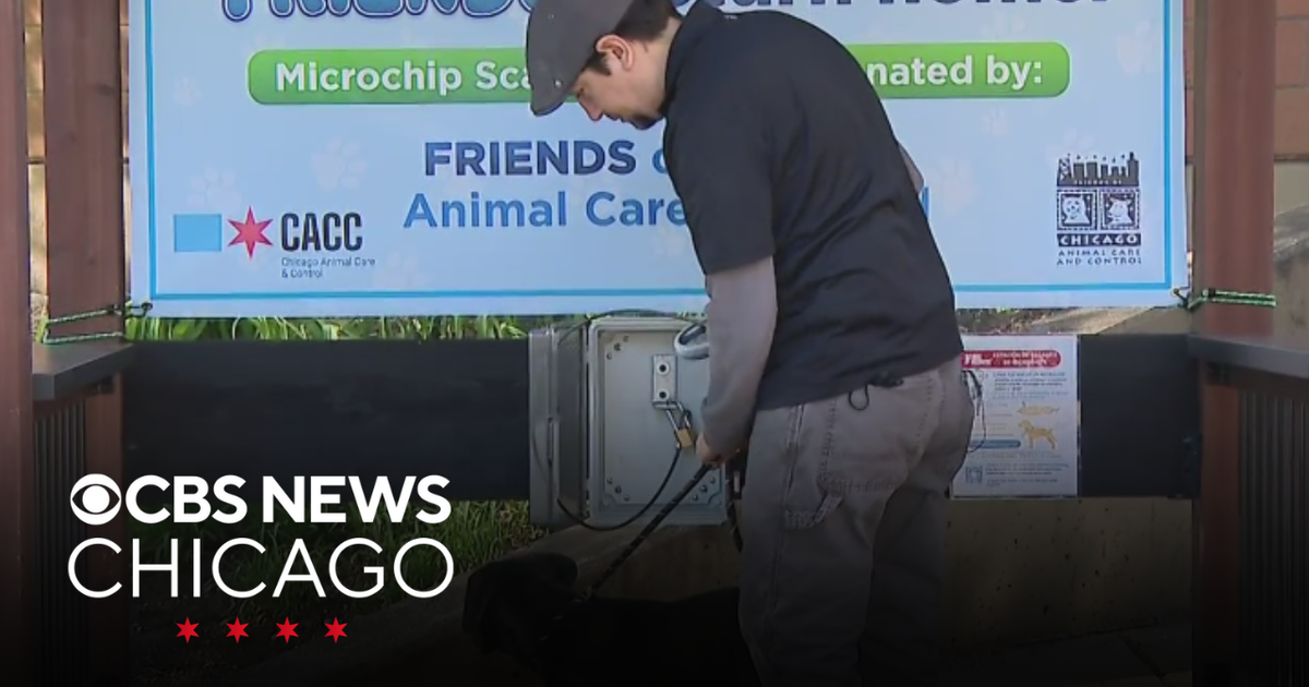 Chicago Animal Care and Control opens 24-hour microchip scanning ...