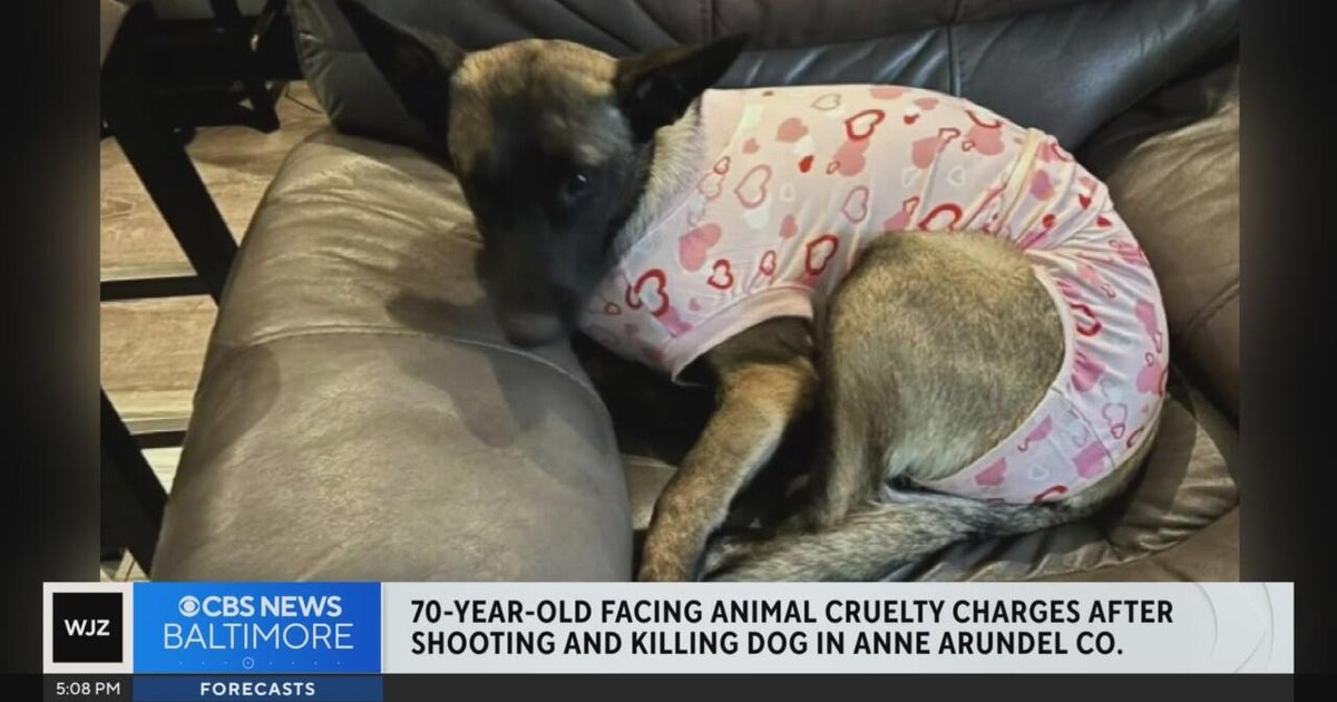 Man faces animal cruelty charges after shooting and killed dog in Anne ...