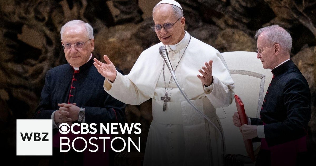 Pope Leo XIV calls for release of jailed journalists and says free ...