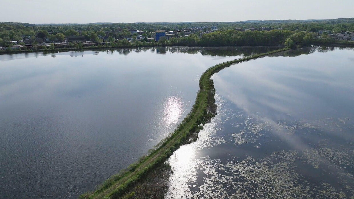 There's a huge pond in Massachusetts where you can walk right through ...