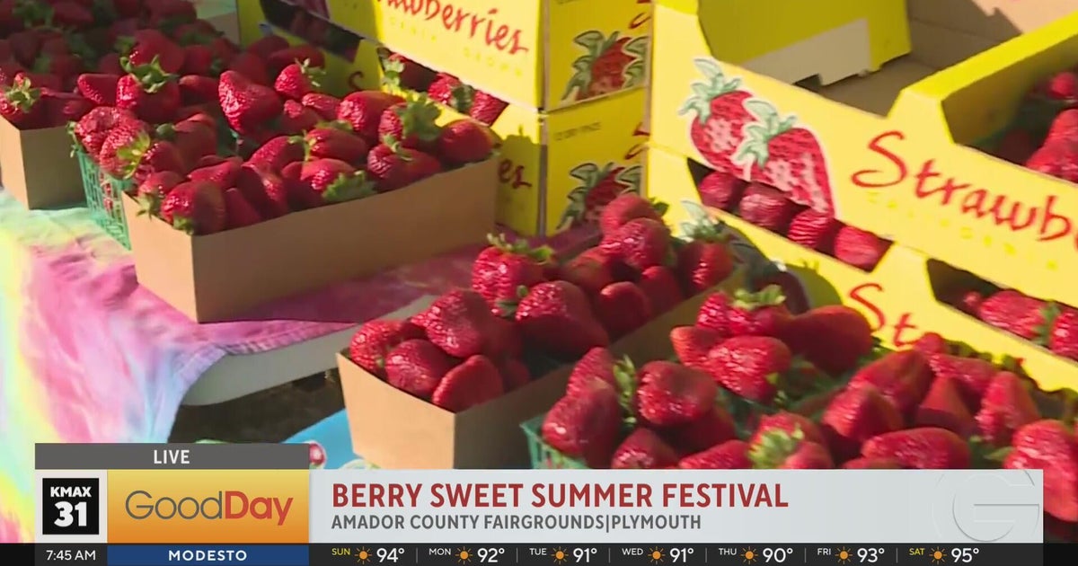 Berry Sweet Summer Festival, 7am - Good Day Sacramento