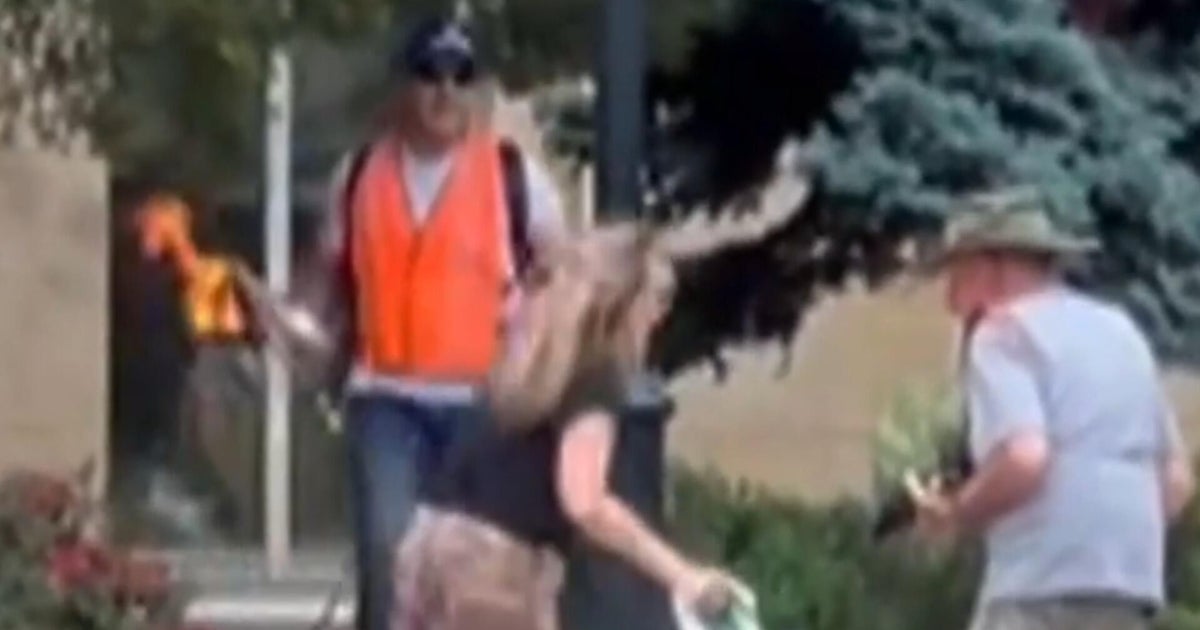 New video emerges of Boulder attack, suspect's family faces deportation ...