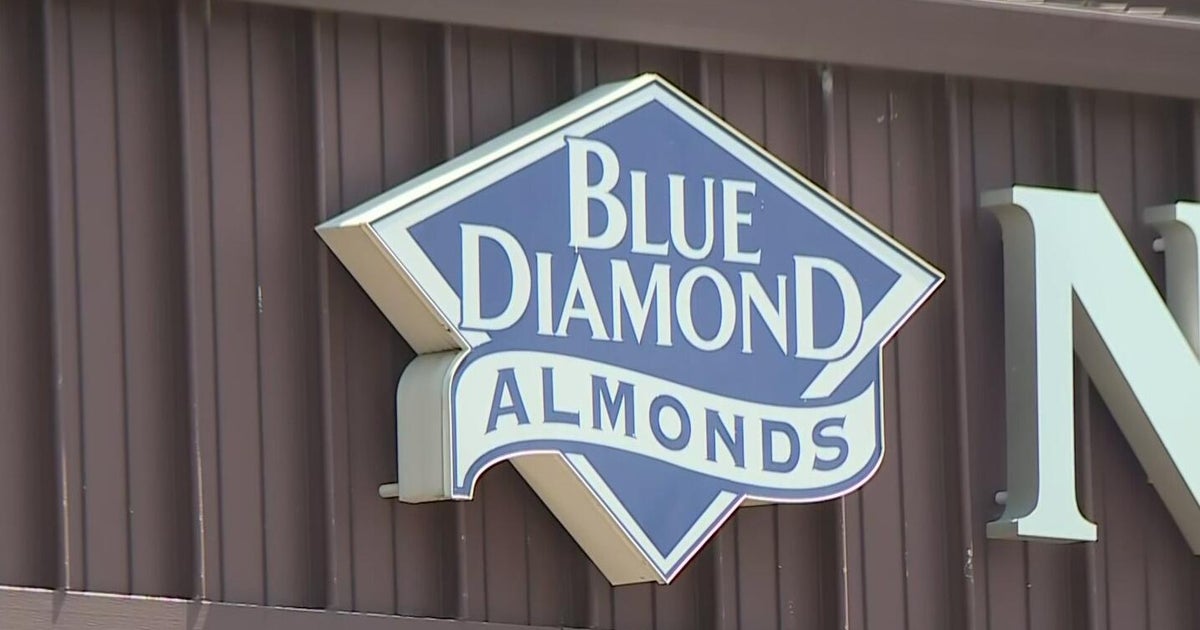 Blue Diamond Growers employees react to Sacramento plant closure - CBS ...