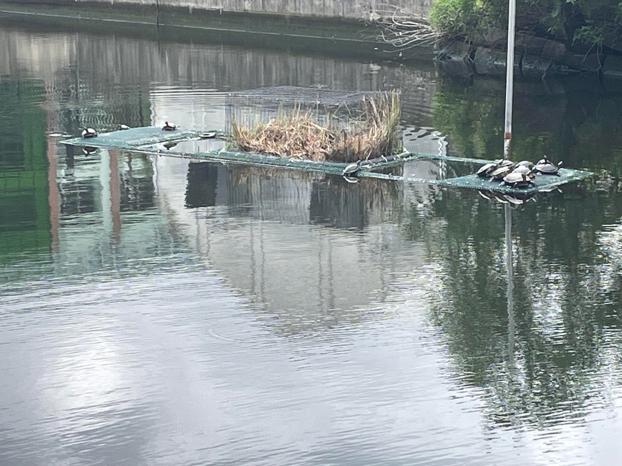 Baltimore harbor fuel spill cleanup on track after initial estimate ...