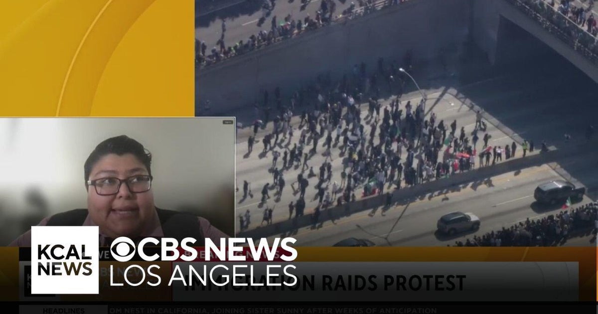 CHIRLA Managing Attorney on immigrants rights and ICE raids in Los ...