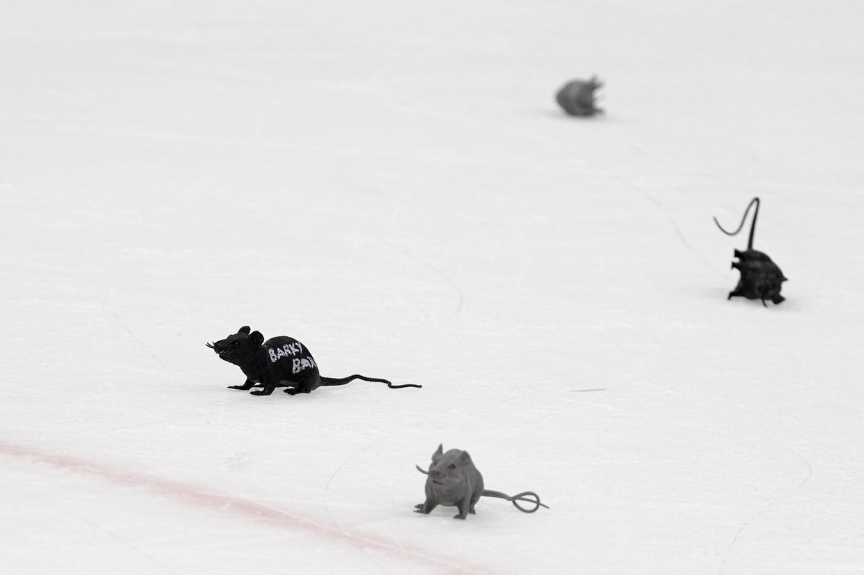 Marchand embraces Florida Panthers' 30-year-old rat-throwing tradition ...