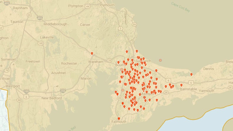 Map shows cicada sightings on Cape Cod. How long will the Brood XIV be ...