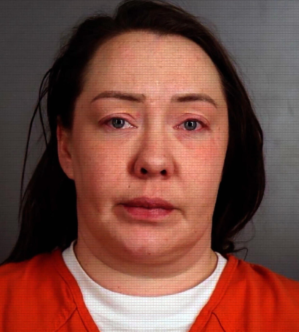 Colorado dog sitter accused of stealing nearly half a million dollars ...