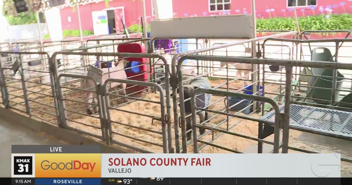 Solano County Fair, 9am - Good Day Sacramento